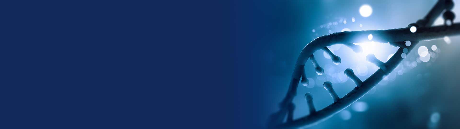 TEV Protease/TEV蛋白酶（His-tag）-DTE05-德泰生物