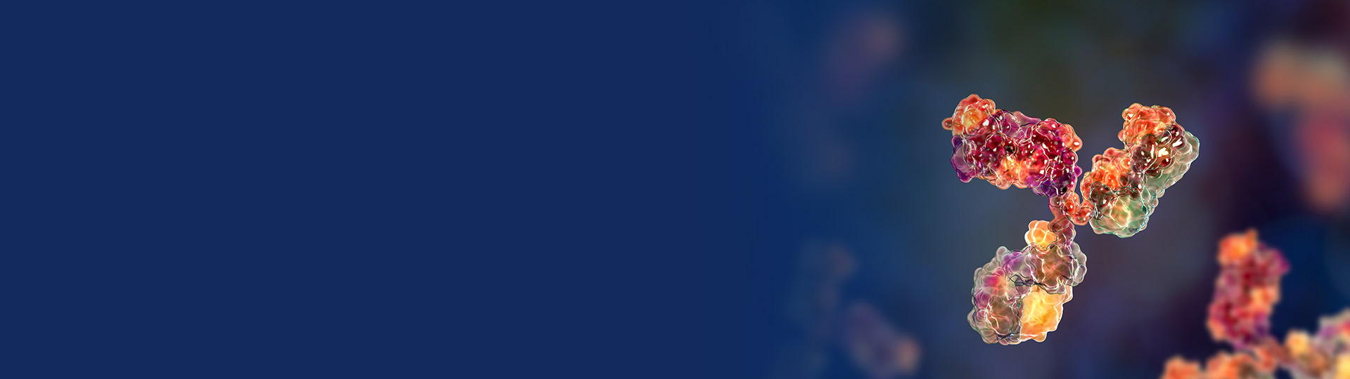 如何提高蛋白表达量-SUMO标签融合蛋白表达SOP-德泰生物