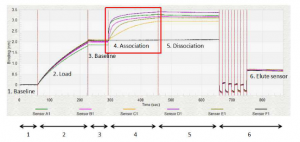 ForteBio Octet®蛋白相互作用数据分析-案例介绍-德泰生物