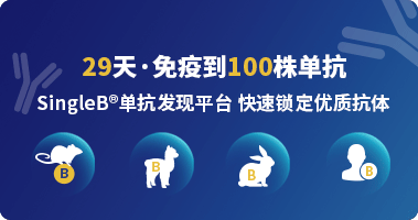 Fortebio生物膜层光学干涉 BLI相互作用检测-蛋白/小分子-德泰生物